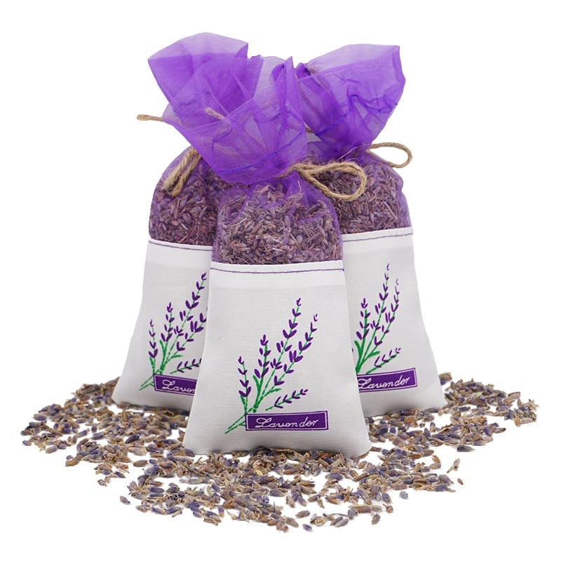 Buorm: Ultimate Guiden (2025) - Skadedyrskongen.no