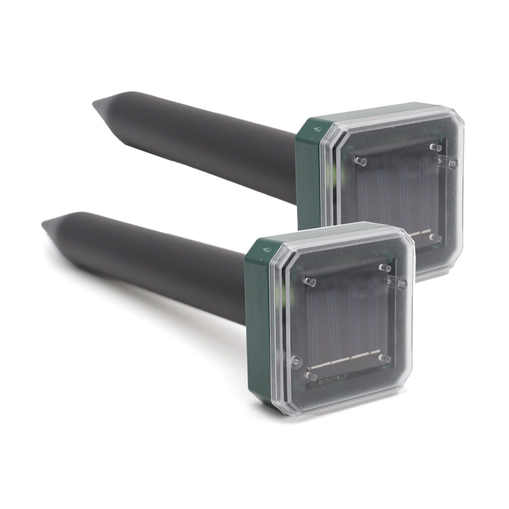 Hoggorm: Ultimate Guiden (2025) - Skadedyrskongen.no